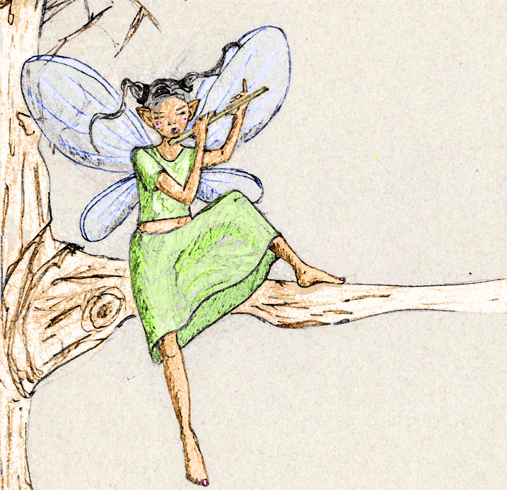 LES FEES DES HERBES - Magazine Le Bruit Qui Court